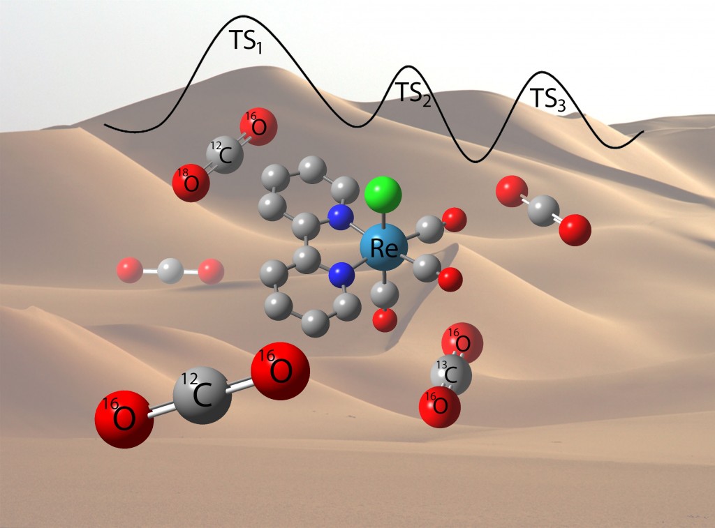 Catalyst Discovery | ANGELES-BOZA LAB